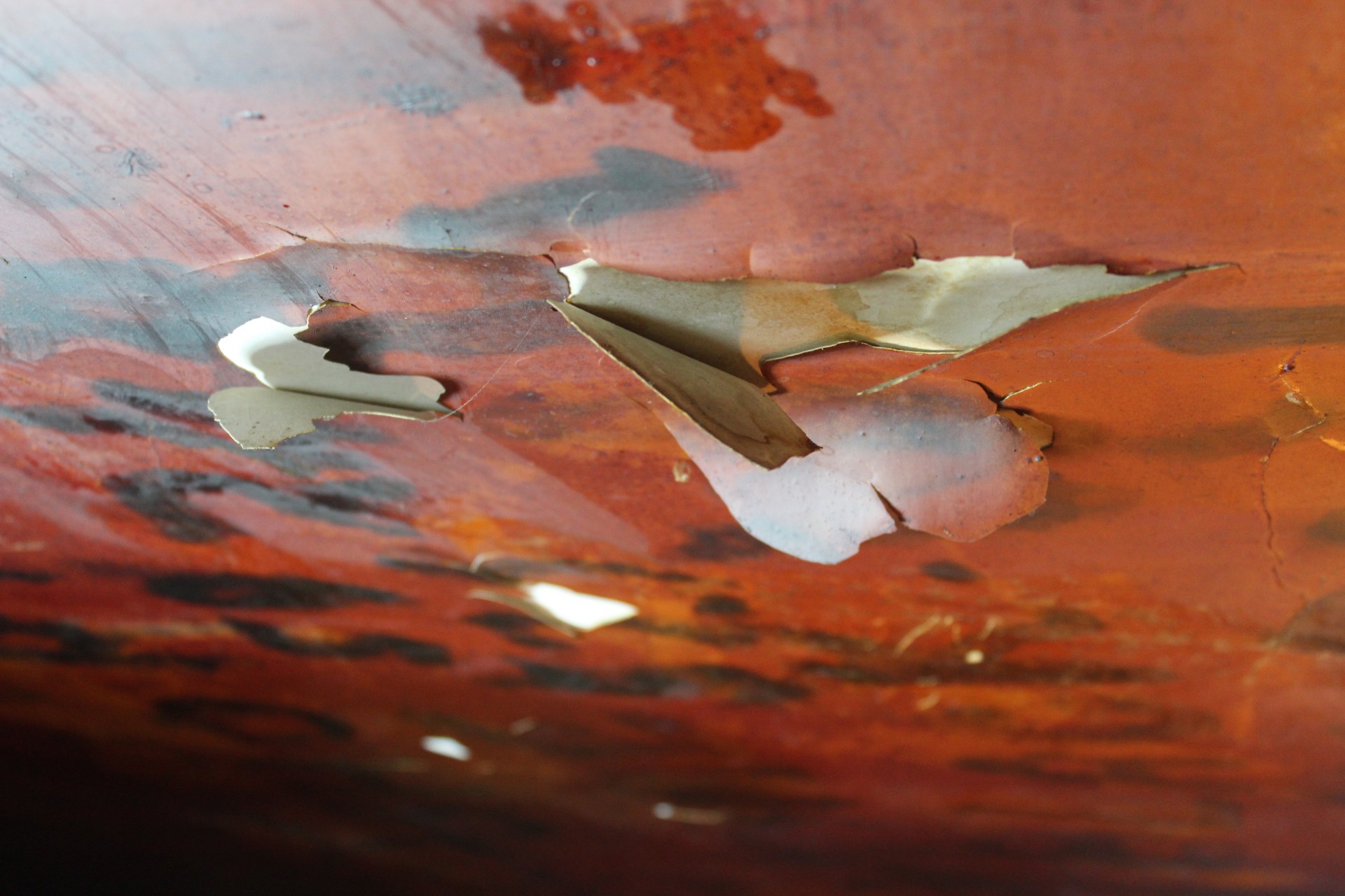 The Eagle: A Second World War Graffiti Ceiling – Bianca Madden